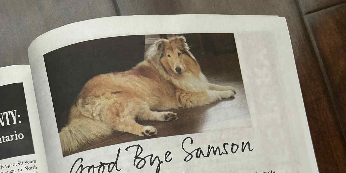 Comments - Good Bye, Samson - by Nancy Waddell