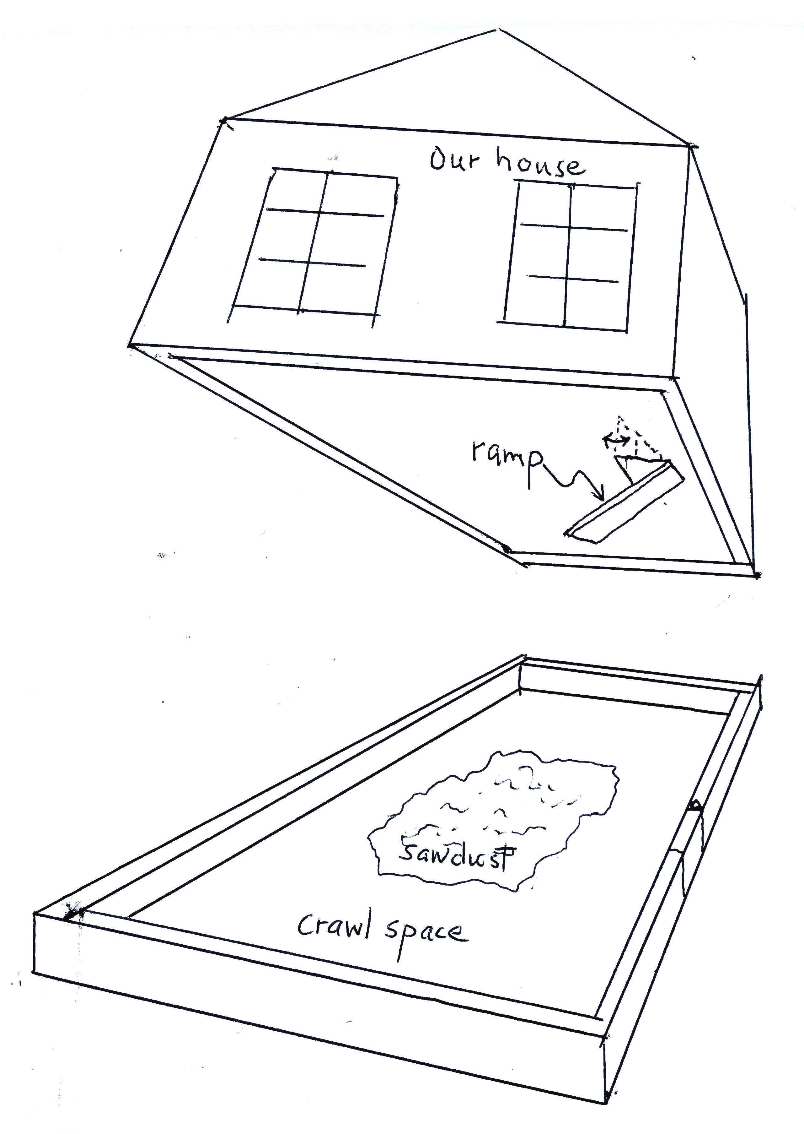The World's Largest Kitty-Litter Box - by Walter Tschinkel