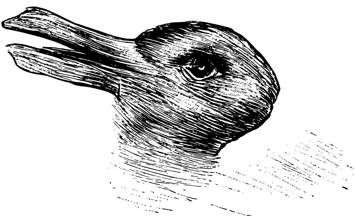 Believing Is Seeing - by David Webb - All About Psychology
