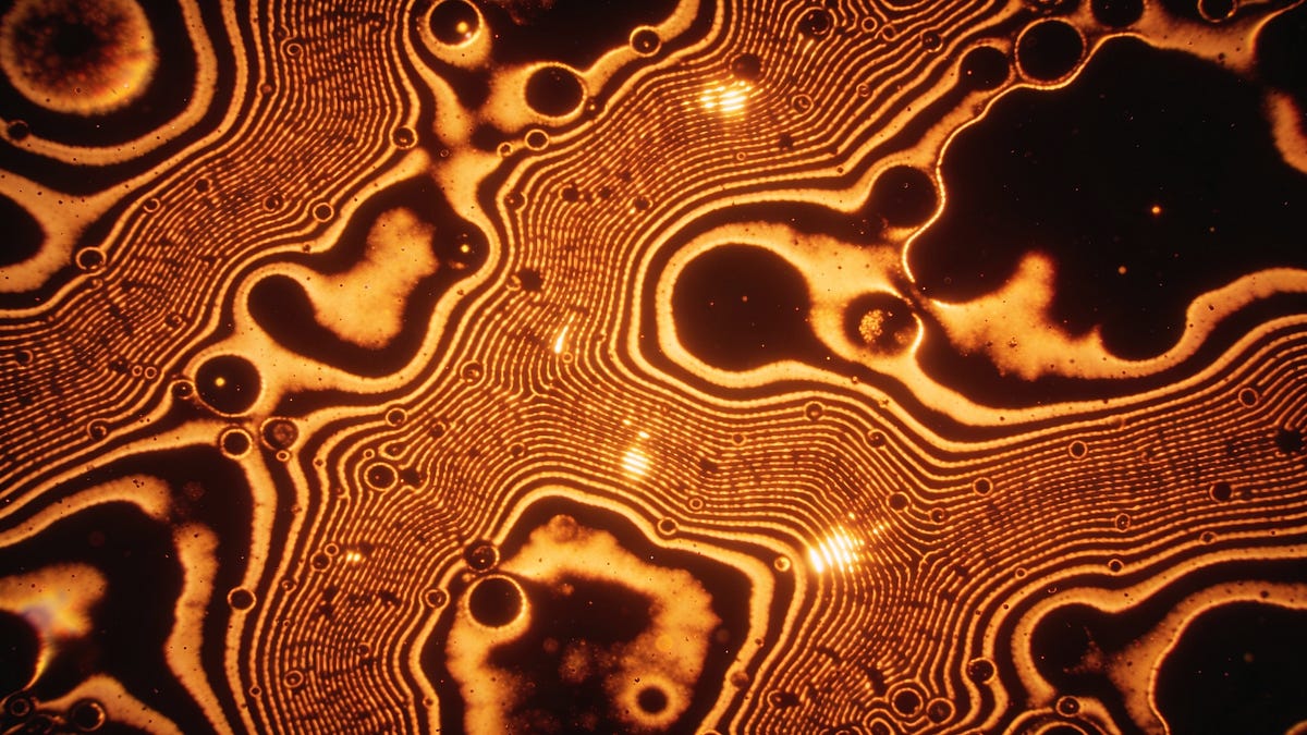 Double Suicide 2: The Most Radical Counter to Communal Illusion