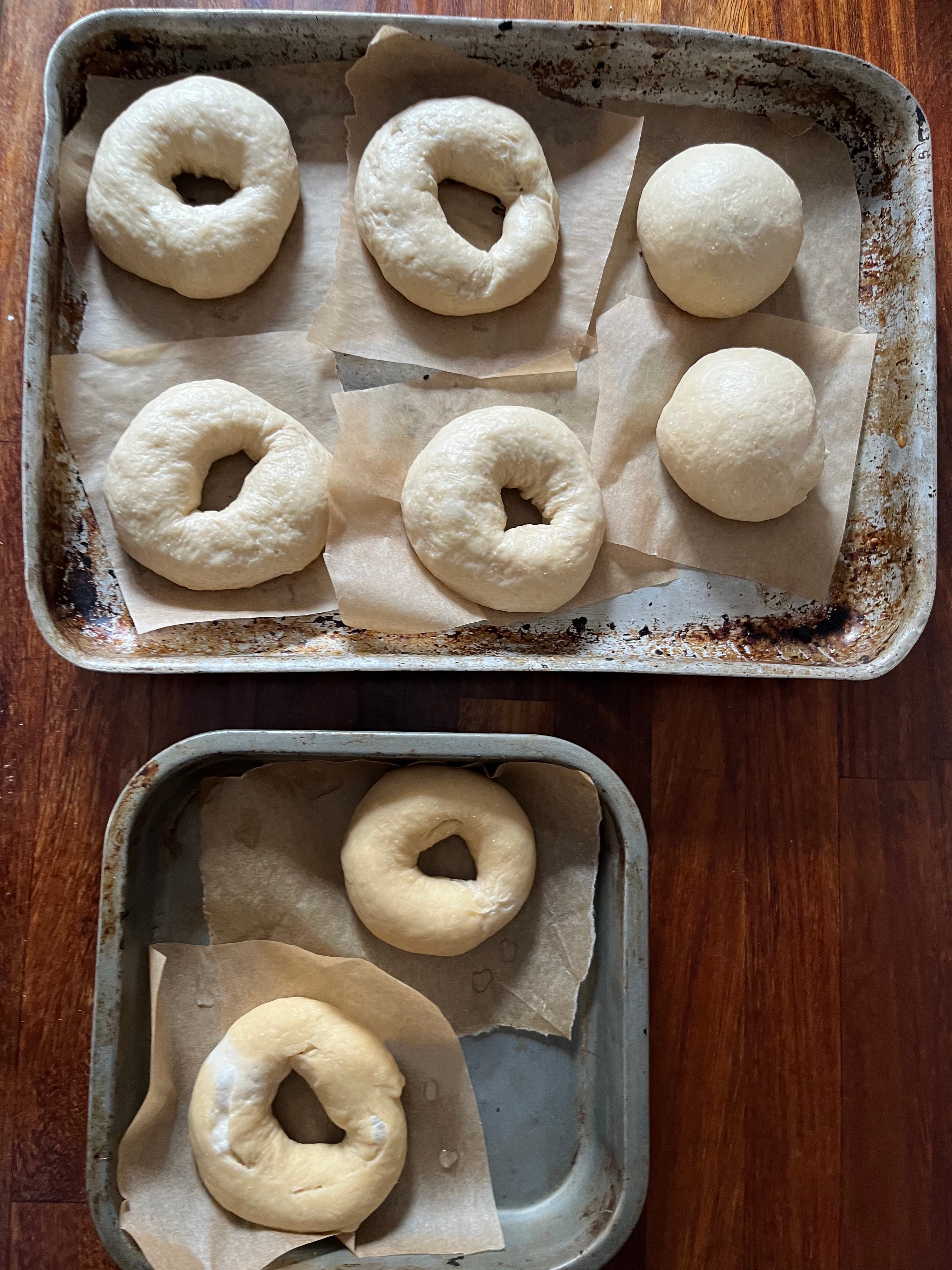 Kitchen Project #64: All about bagels - by Nicola Lamb
