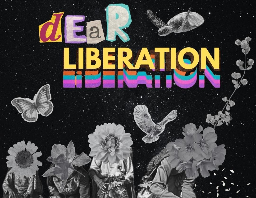 dear liberation | Fatima Qureshi | Substack