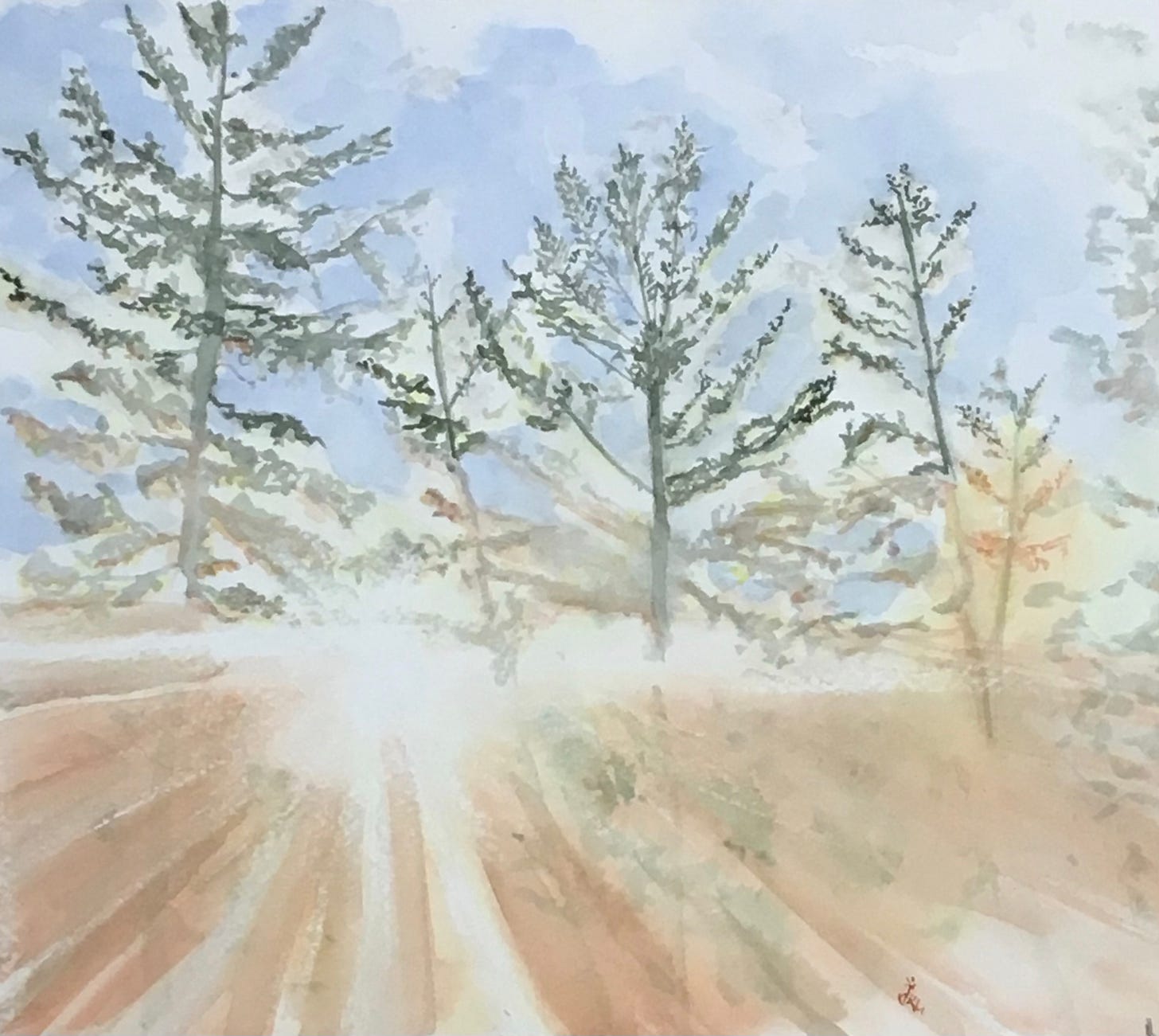 A Positive Step Forward - by Dru Duffey - Dru’s Substack