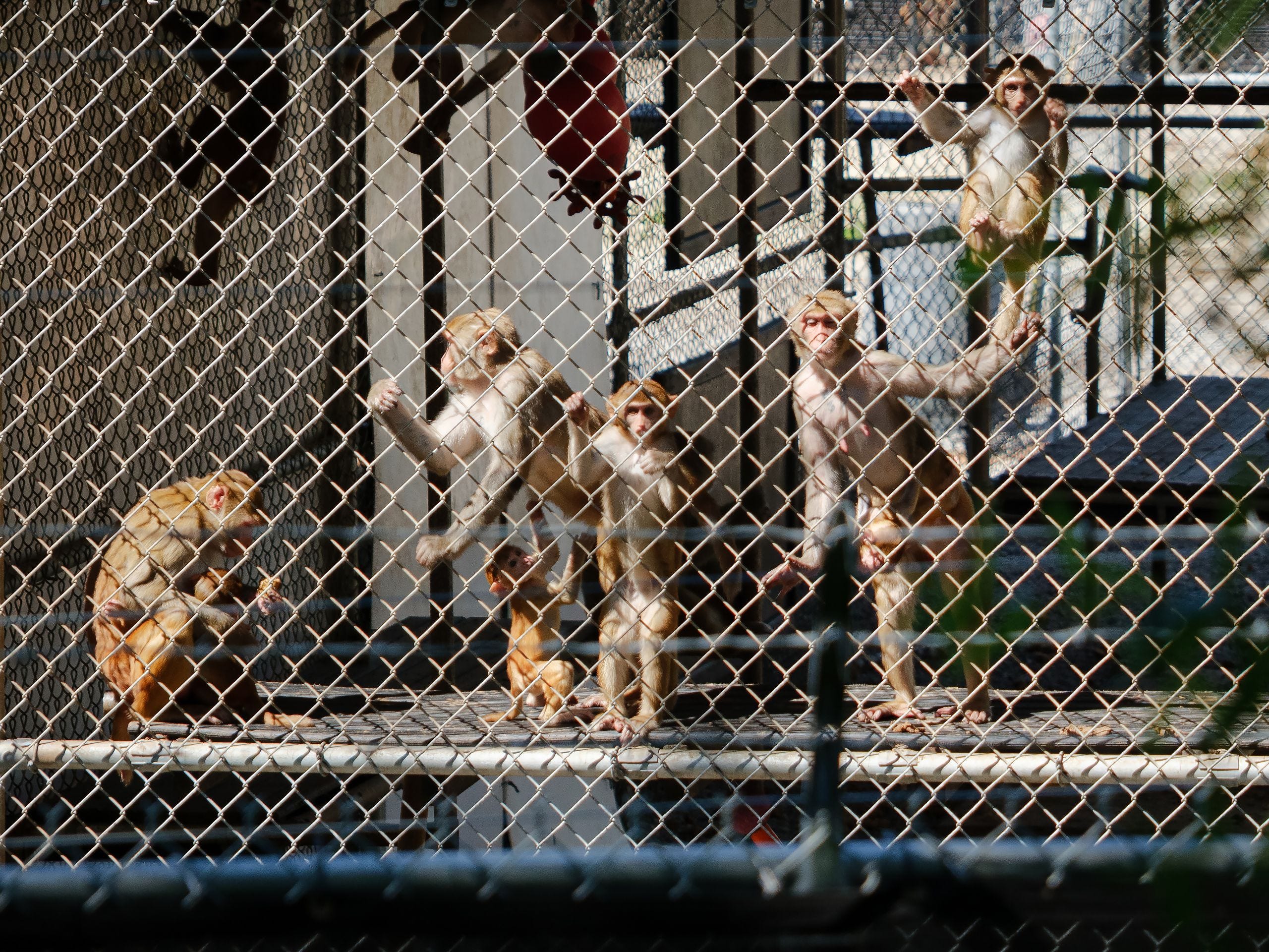 TG&A Weekly Digest: Animal & Conservation Policy Updates (11/7)