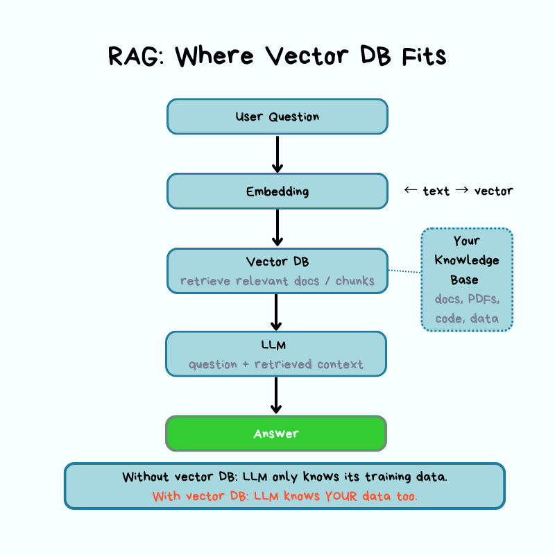 What is a Vector Database - by Maxine Meurer and Neo Kim