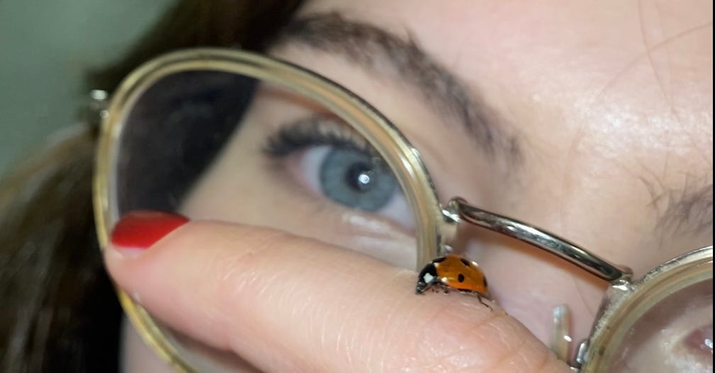 Neoteny, Immortality, Progesterone, and Her Big Head.