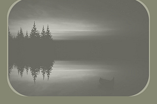 The Husk | Jasmine Stole Weiss | Substack