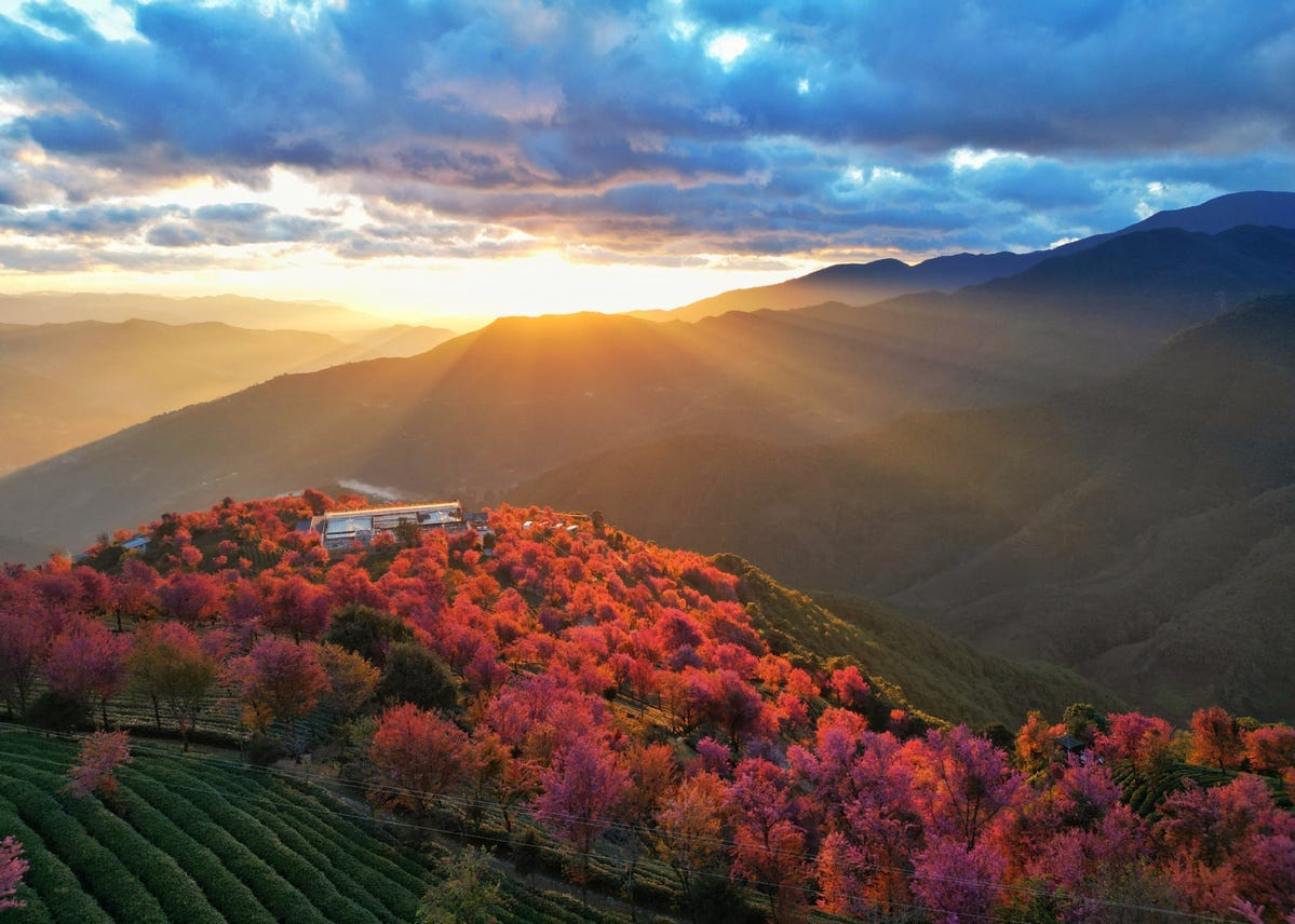 The Five-Year Plan of a Beautiful China