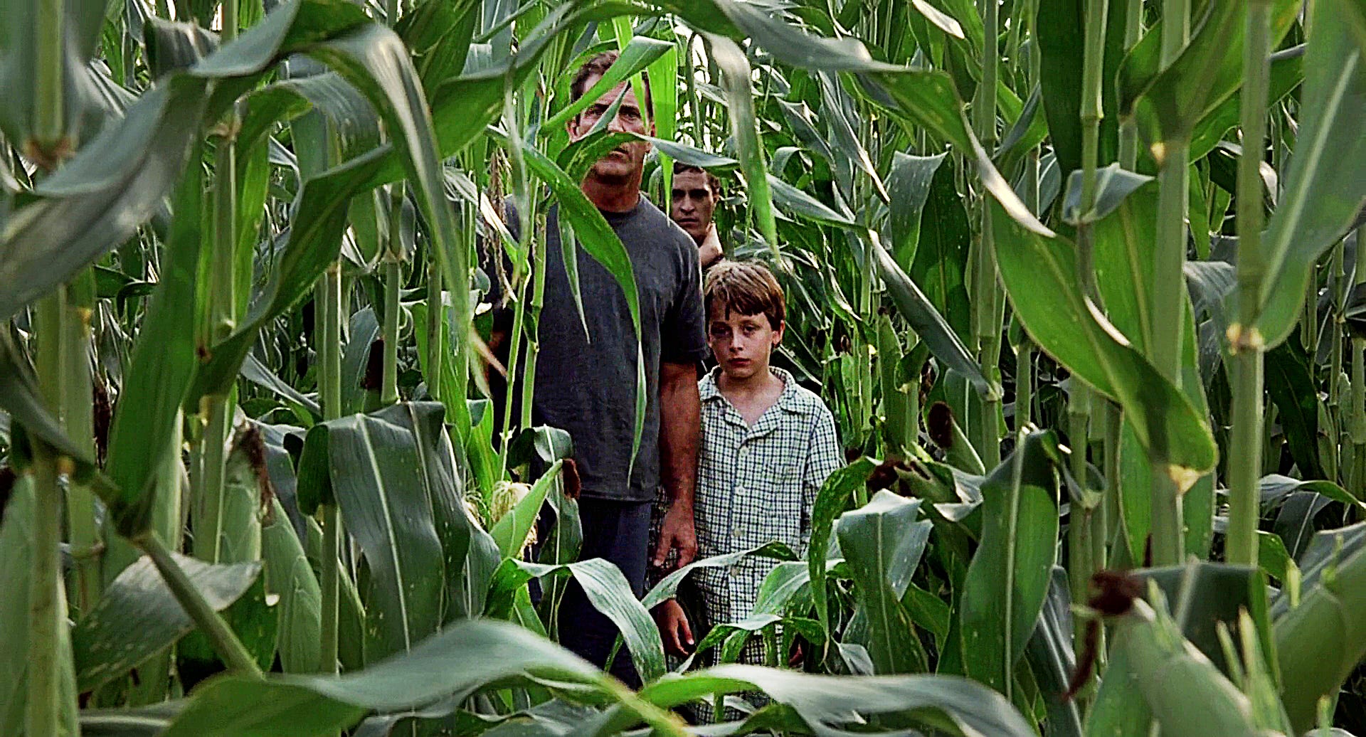In ‘Signs,’ the Aliens Were Never the Point
