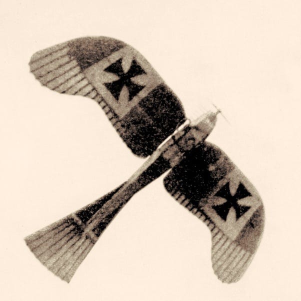 Military Technology: Wing Warping and Wing Morphing