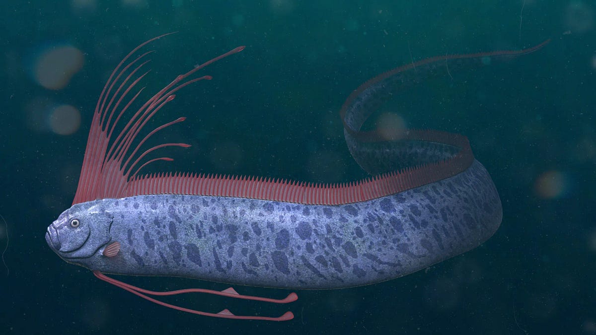 The Doomsday Fish: Why the Ocean’s Scariest Sea Serpent is Just a ...