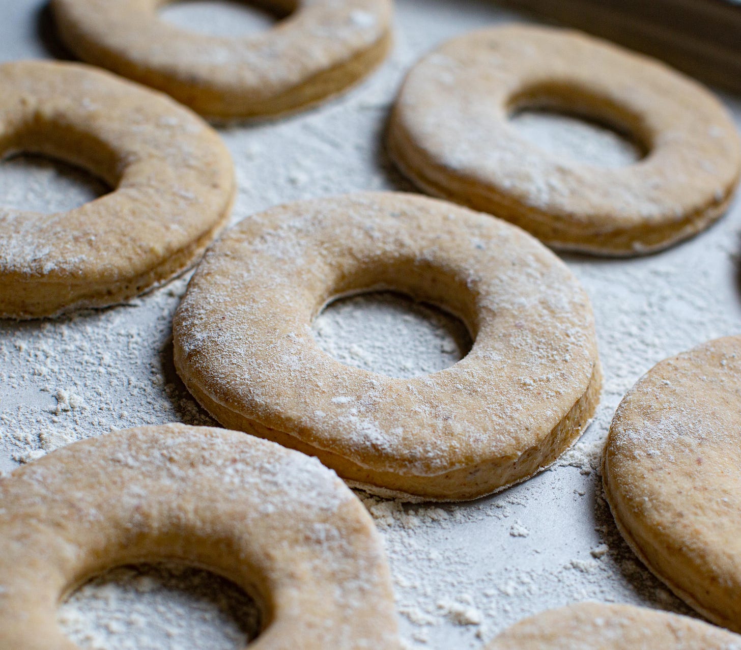 Spiced Doughnuts - by Martin Philip - The Sassafras Curio