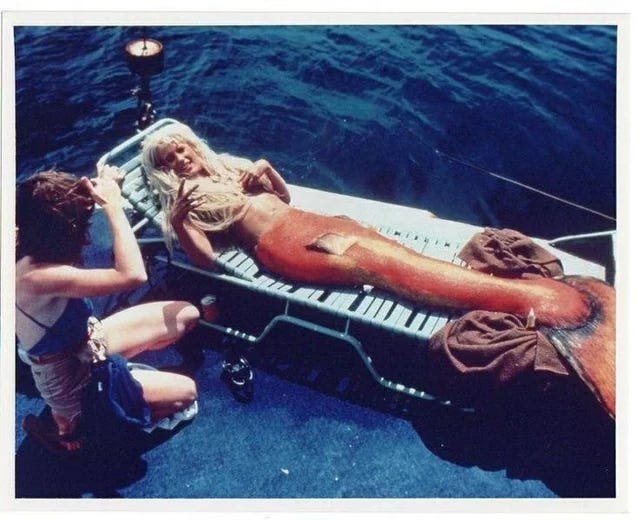 Confessions of a Dunk Tank Girl - by Michelle Polizzi