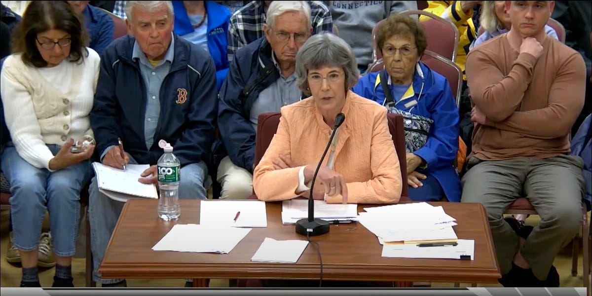 Appeal Filed Over Woodbridge Zoning Changes - by Cathy Wick