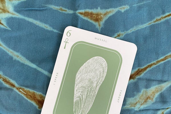 THE GODDESS PHASE | Ciara Bird El | Substack