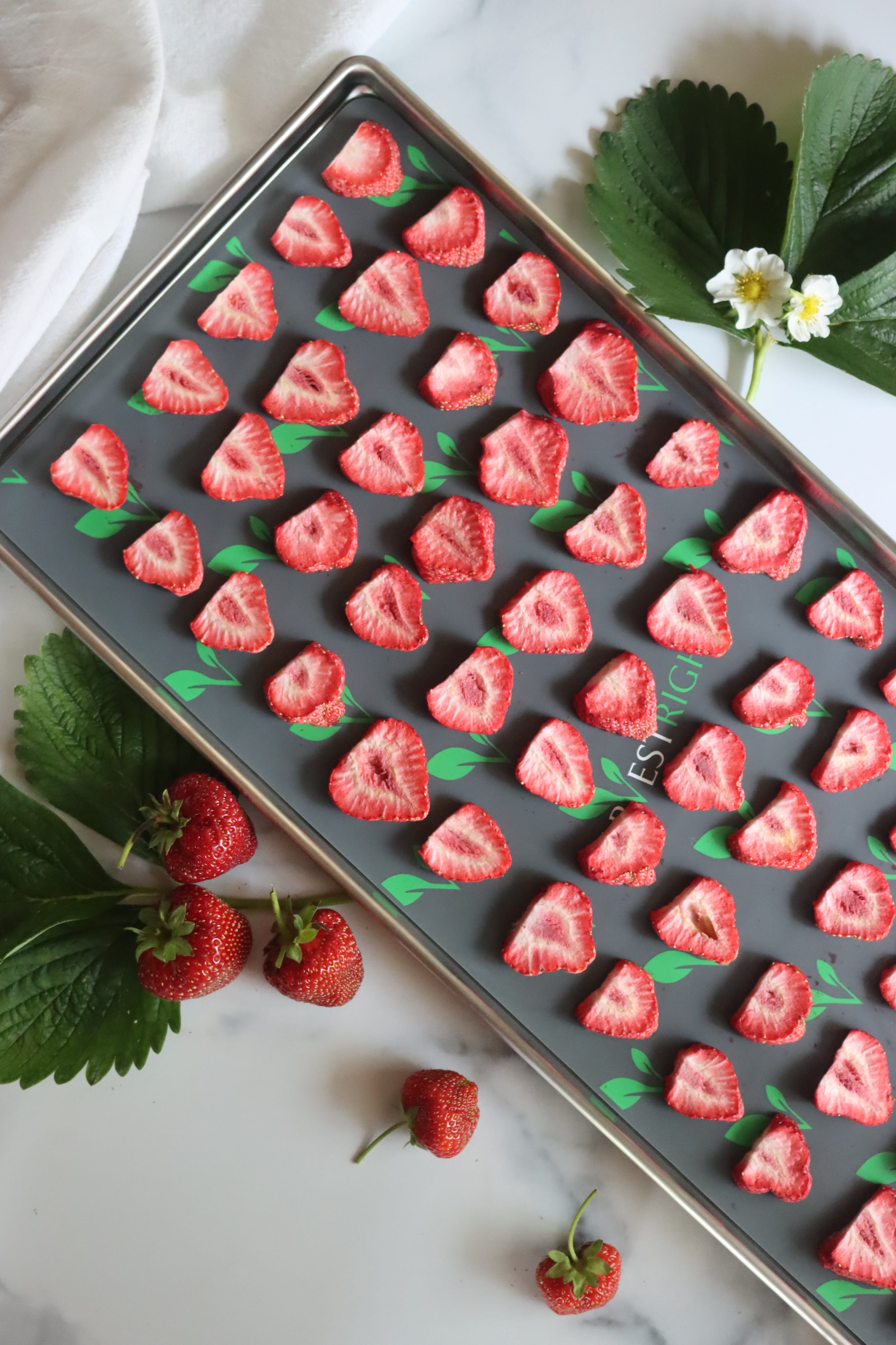 Freeze Drying vs. Dehydrating - by Ashley Adamant
