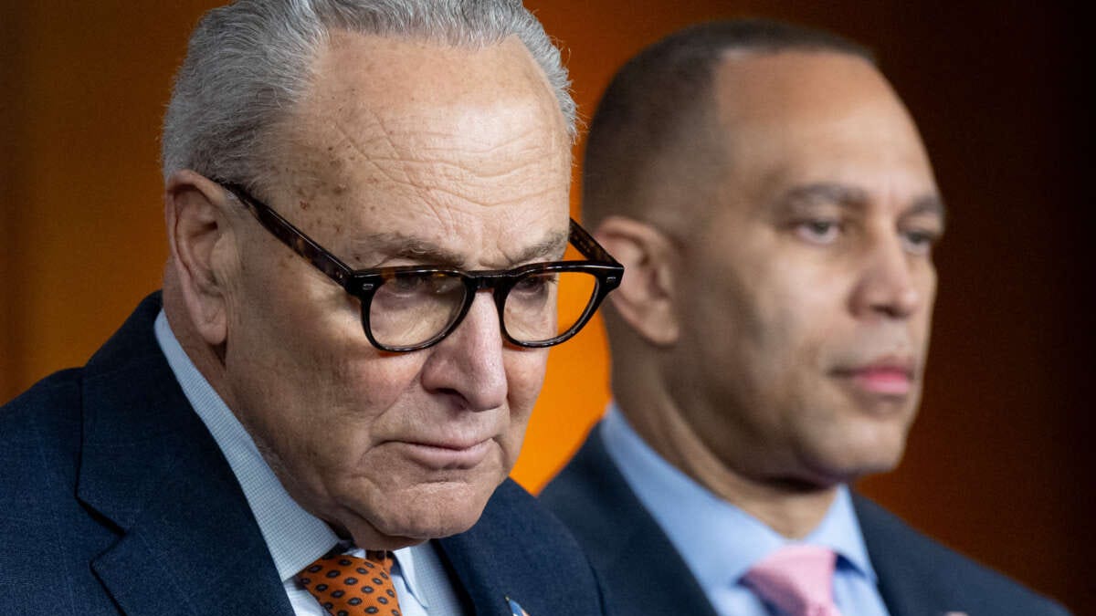 Both Parties Fund ICE - by Neil Zhu - Grumpy Chinese Guy