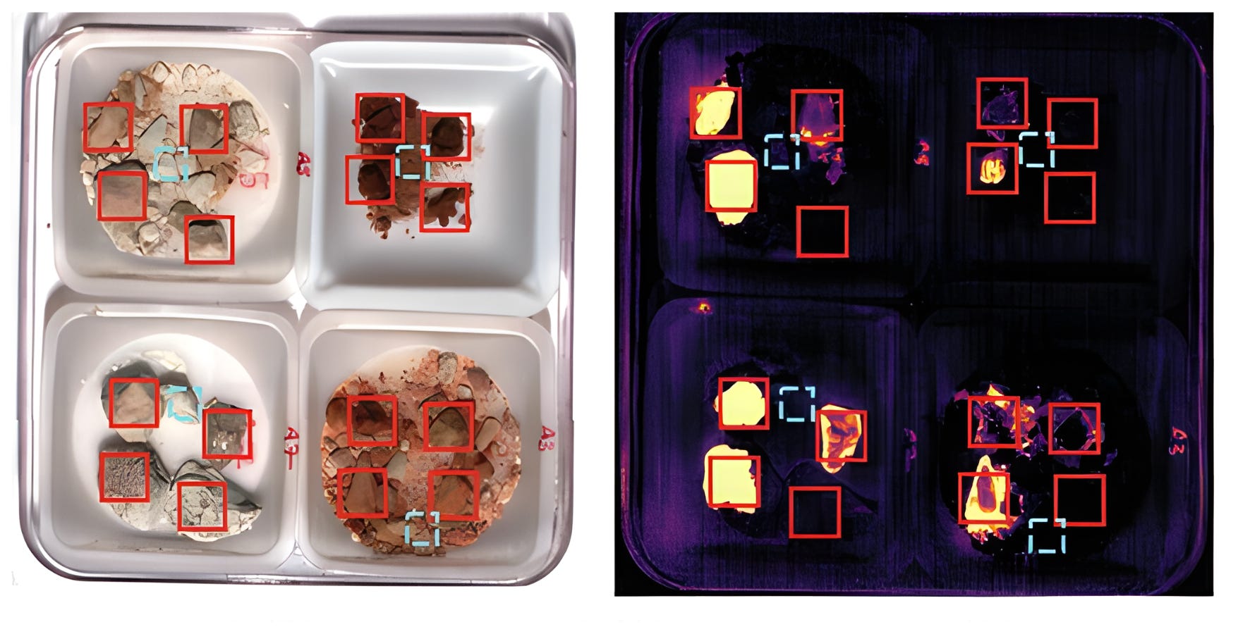 Seeing Microbes from the Sky - by Niko McCarty