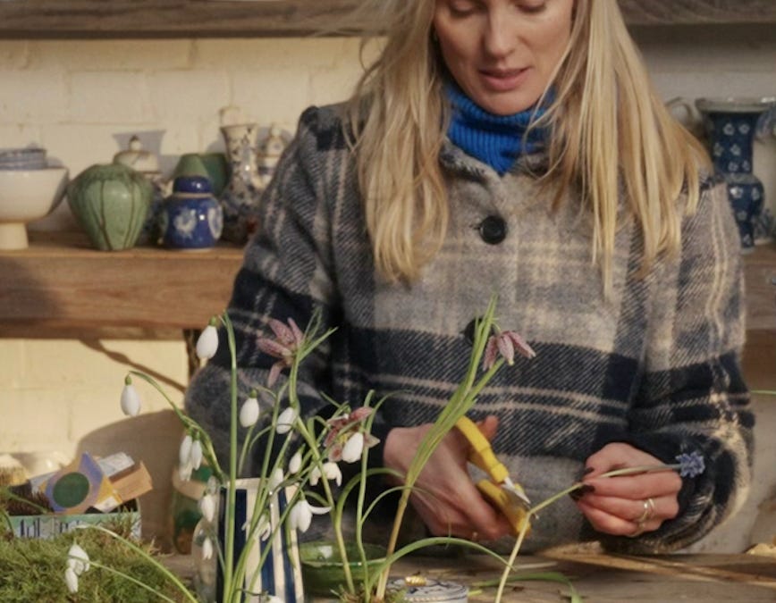 Snowdrops - by Willow Crossley - The Seedling