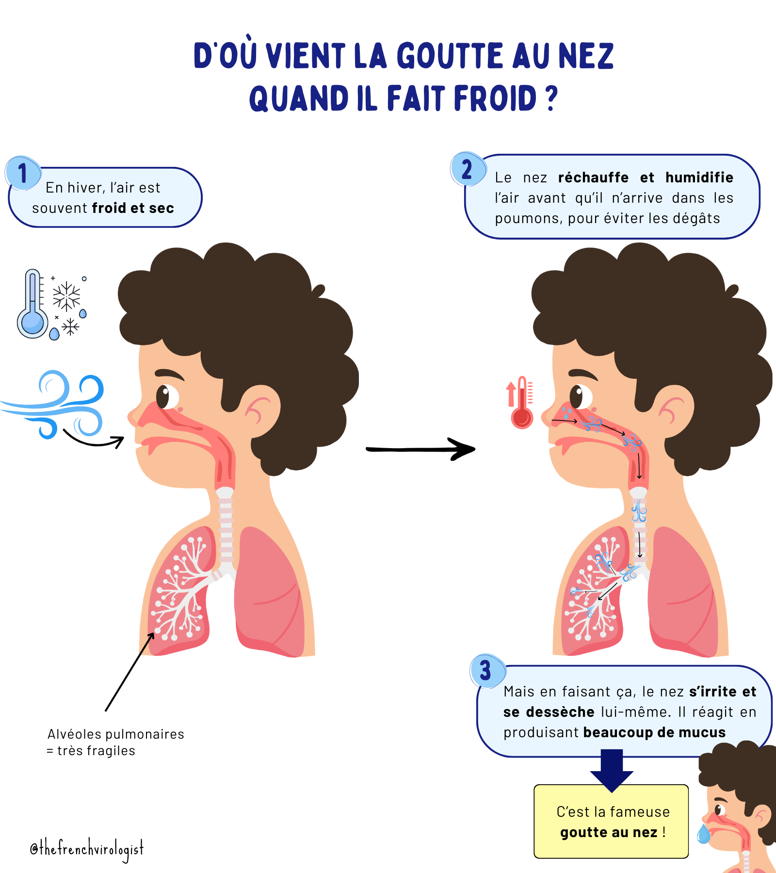Attraper froid : mythe ou réalité ? Ce que dit vraiment la science