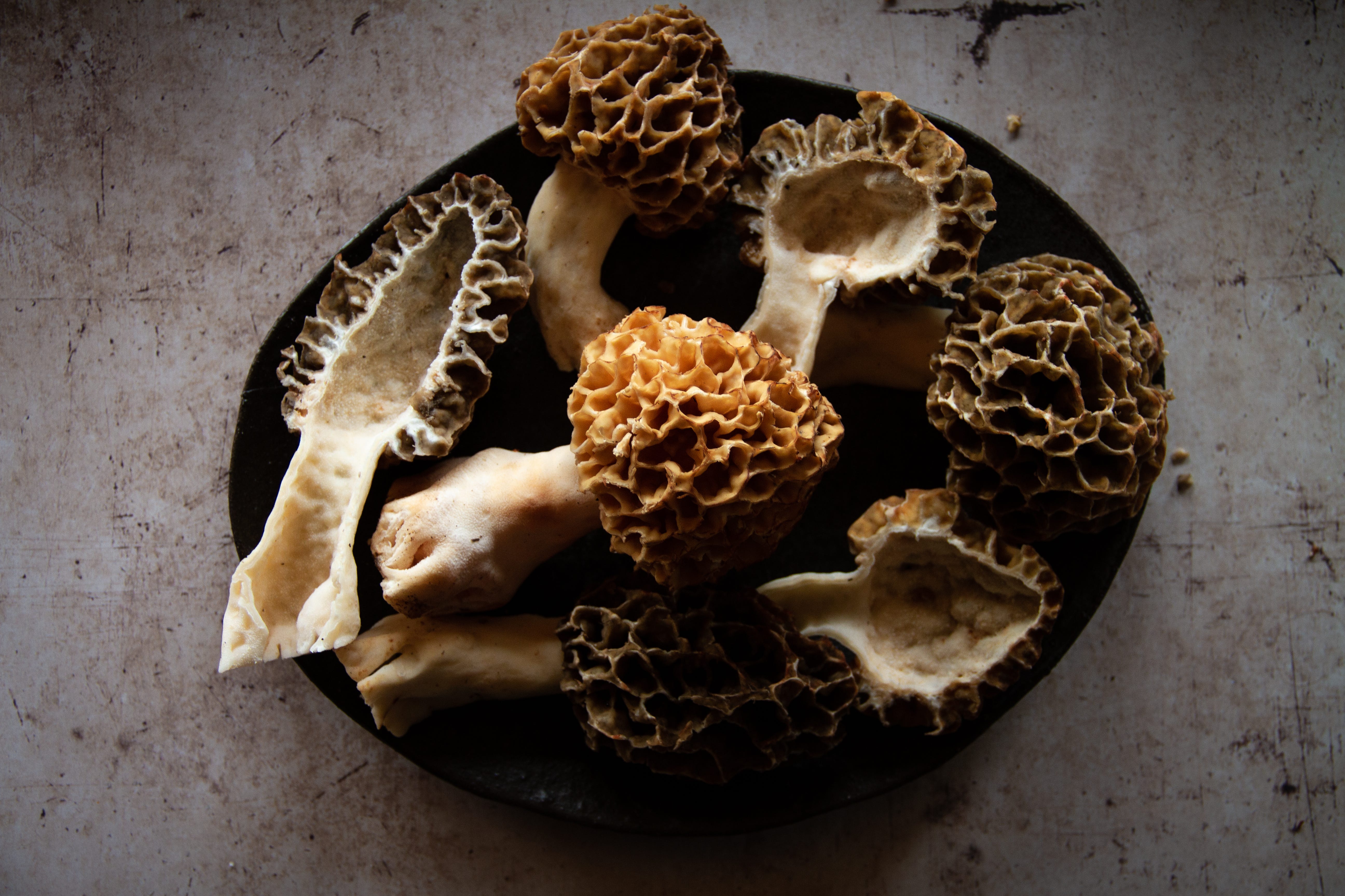 MORCHELLA, THE TRUE MORELS - by Everyday Kitchen Magic