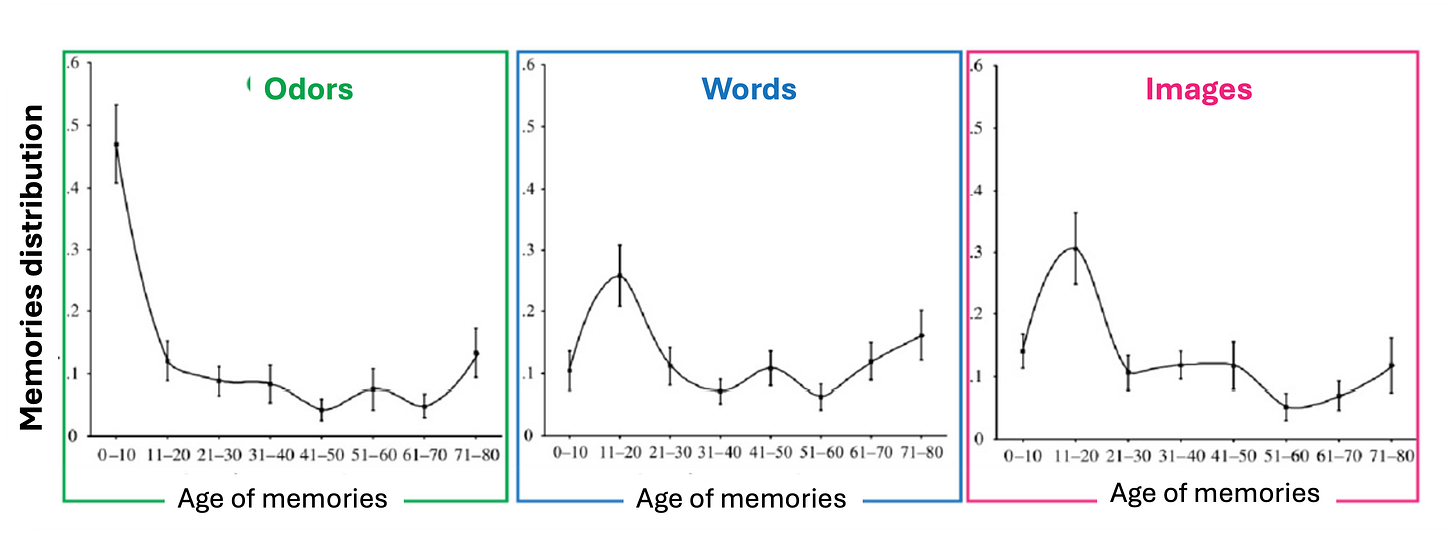 The Smell of Memories: Why Certain Scents Send You Back in Time