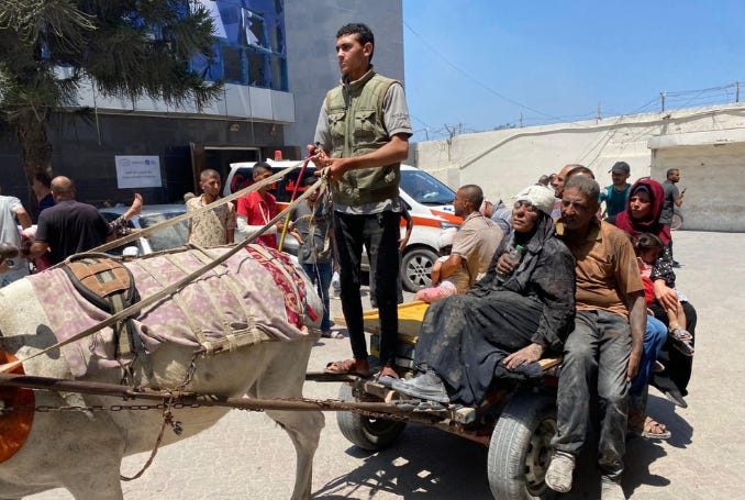Dehumanization and the Killing of Animals: Israel’s Colonial Tools