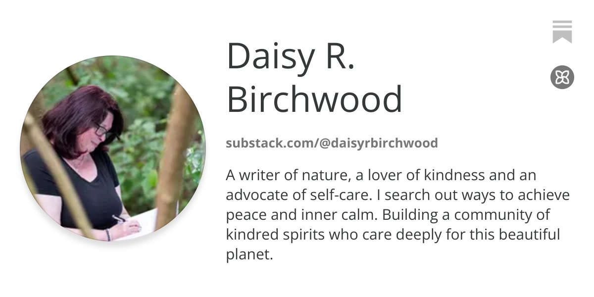 Daisy R. Birchwood | Substack