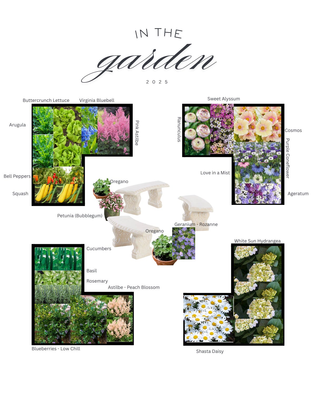 May Petals & Plans - by Shelby | Pretty in the Pines