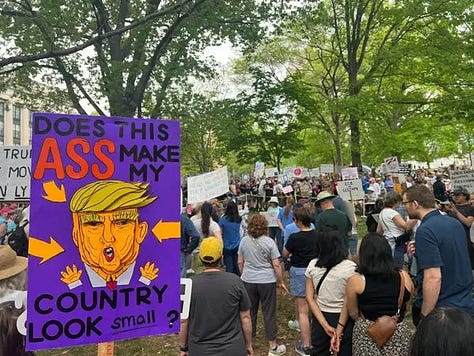 54 Anti-Trump Protest Sign Ideas for the No Kings Protest