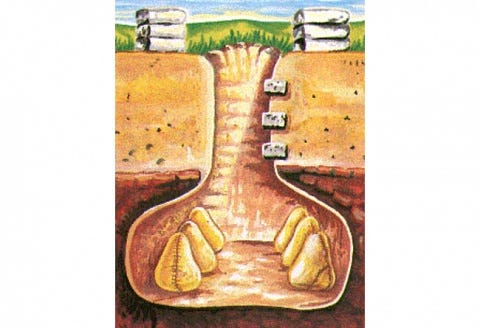 Desert of the Dead: How the Paracas Wove Immortality