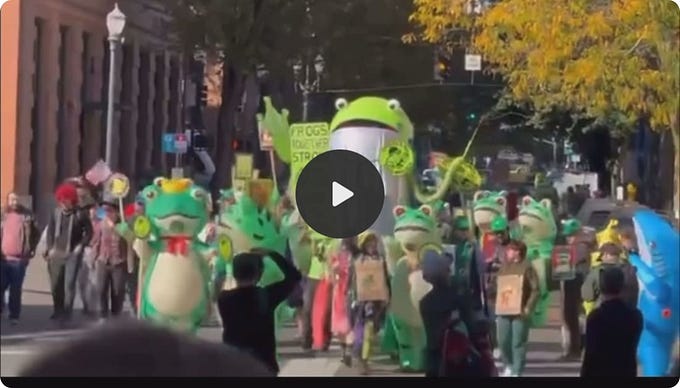 Broadwaybabyto (@broadwaybabyto): "The frog brigade in Portland had a ...