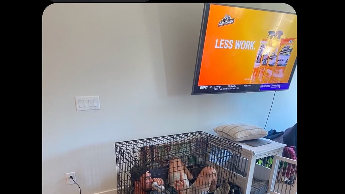 Welcome To The Fantasy Box Office Draft - by James Donner