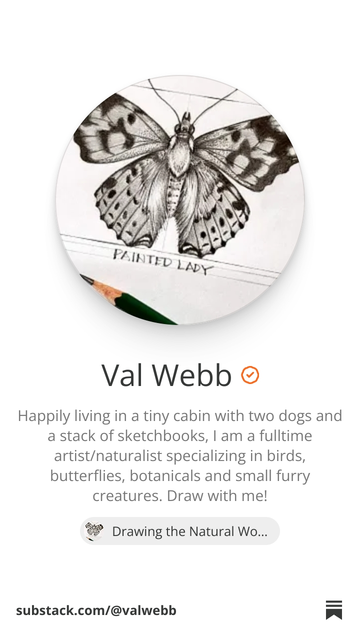Val Webb | Substack