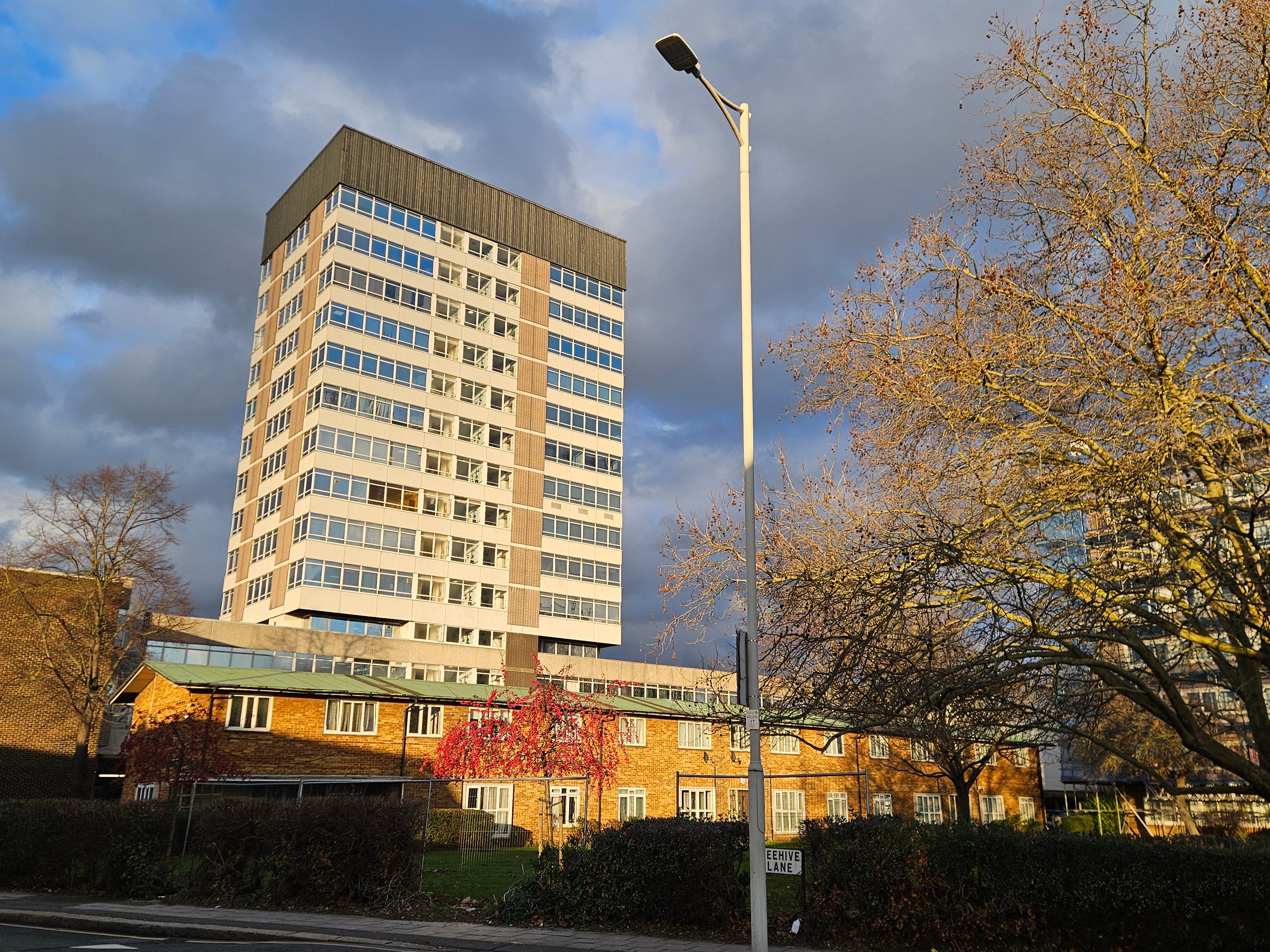 I go on a silly little walk... to Ilford Pet Cemetary