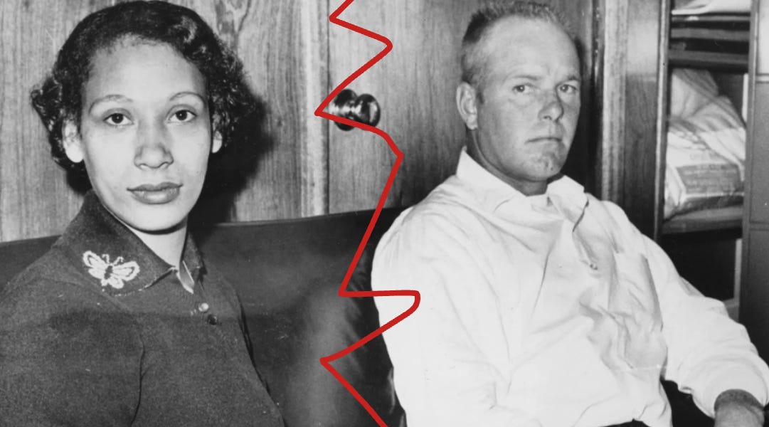 Free to Ban - by Glenna Goldis - Bad Facts