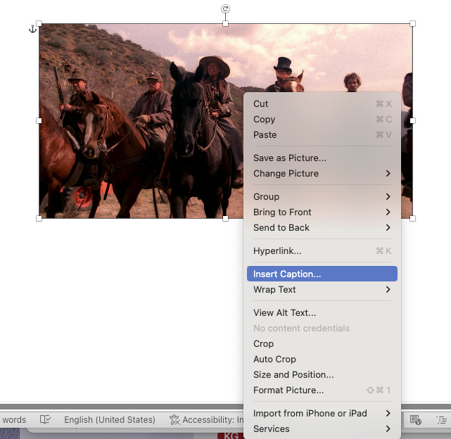 Easy Figure and Table Captions in Word