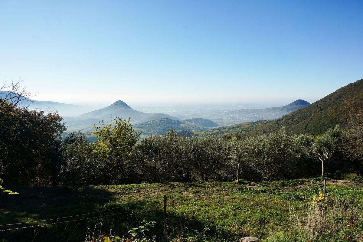 #45 OTO ITALIA - Matteo Brunetti