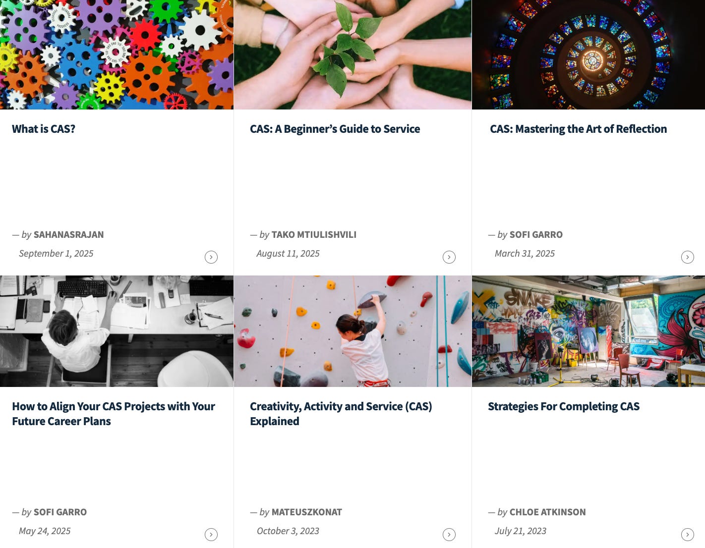 🎨🤸‍♂️How Do I Choose A CAS Activity and Write A Reflection? IBlieve ...