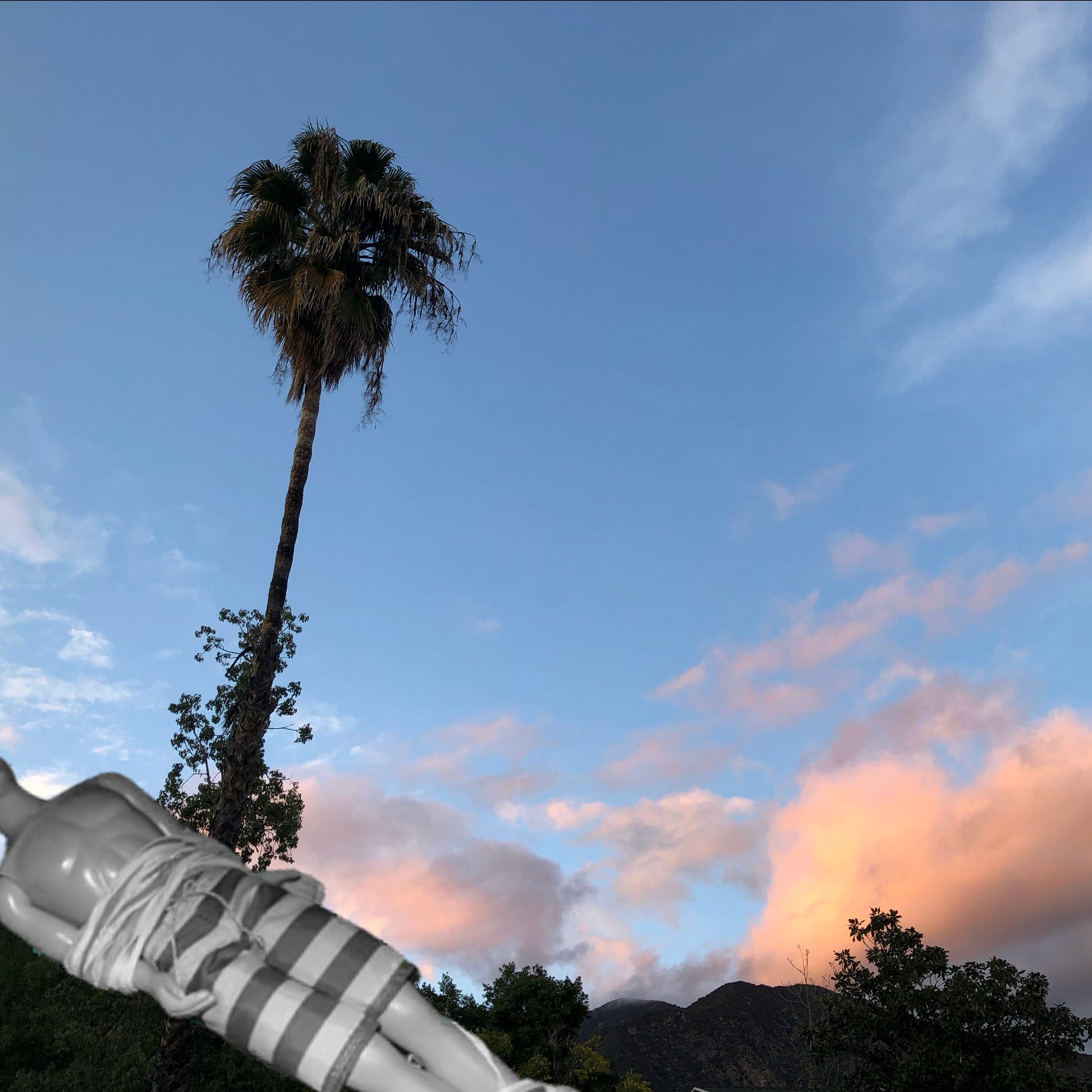 Leaving Home for Hollywood - by Lisa Verlo - HOLLYWOODN'T