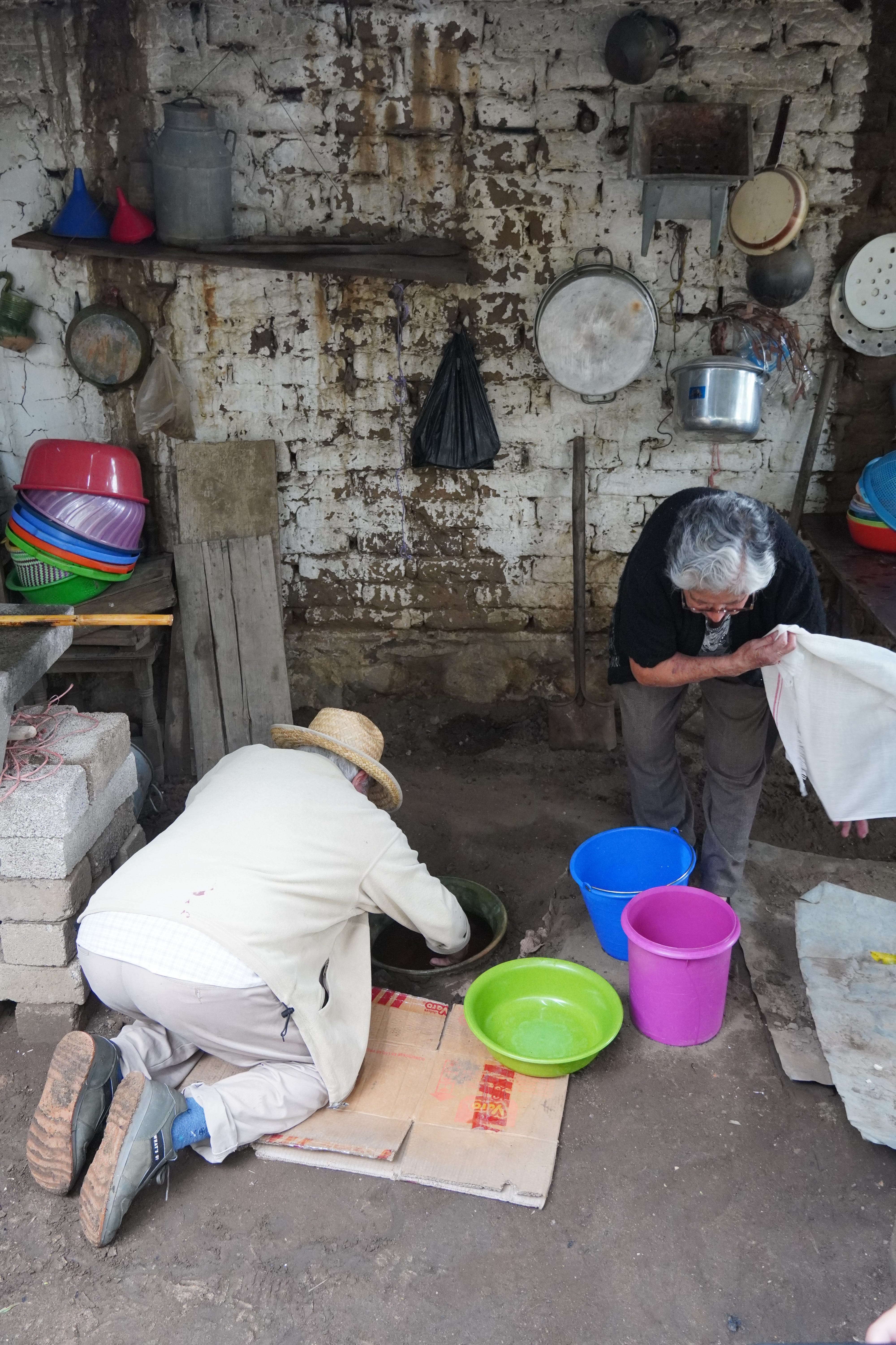 Tepache: a mixed-fermentation alcohol beverage from Mexico.