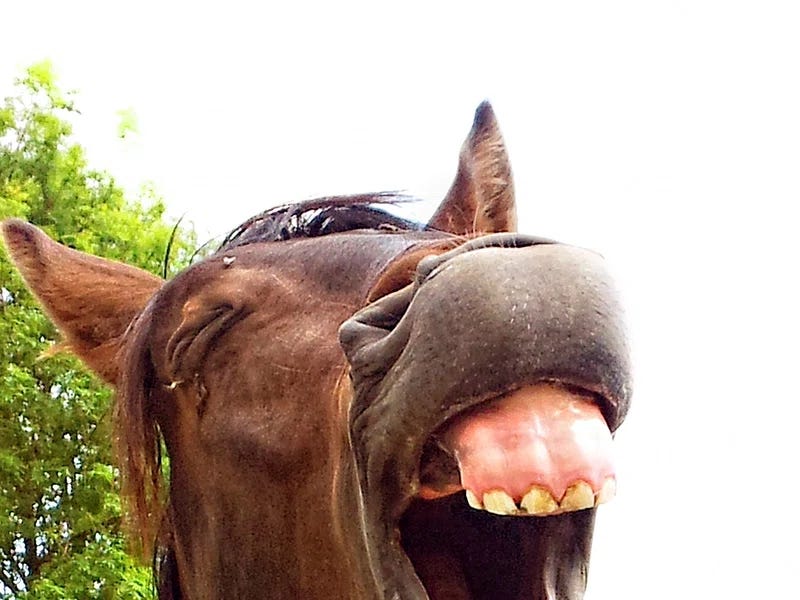 Introducing the "Being a Baby" Rhetorical Pattern