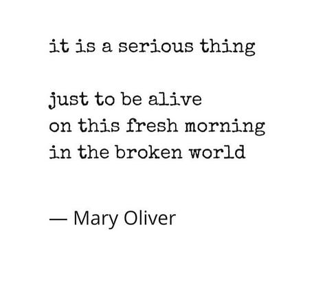 broken world thinking