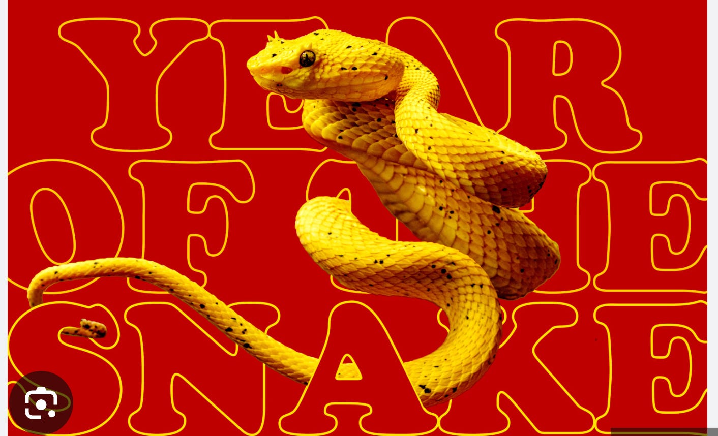 SNAKE EYES -- CHARLIE KIRK PREDICTIVE PROGRAMMING?