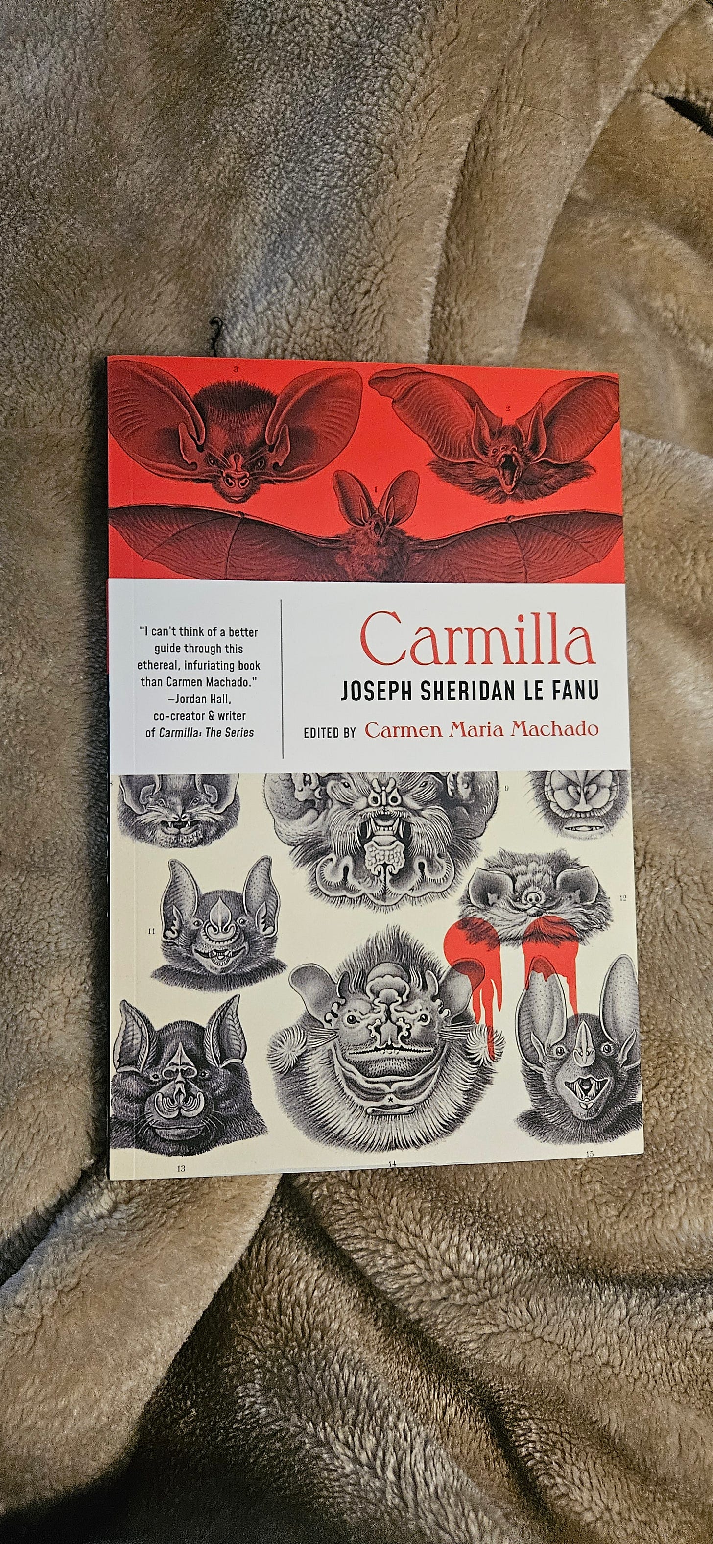 vampire dracula difference