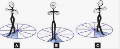 Marching to the Beat of Balance: The Fukuda Stepping Test and its ...