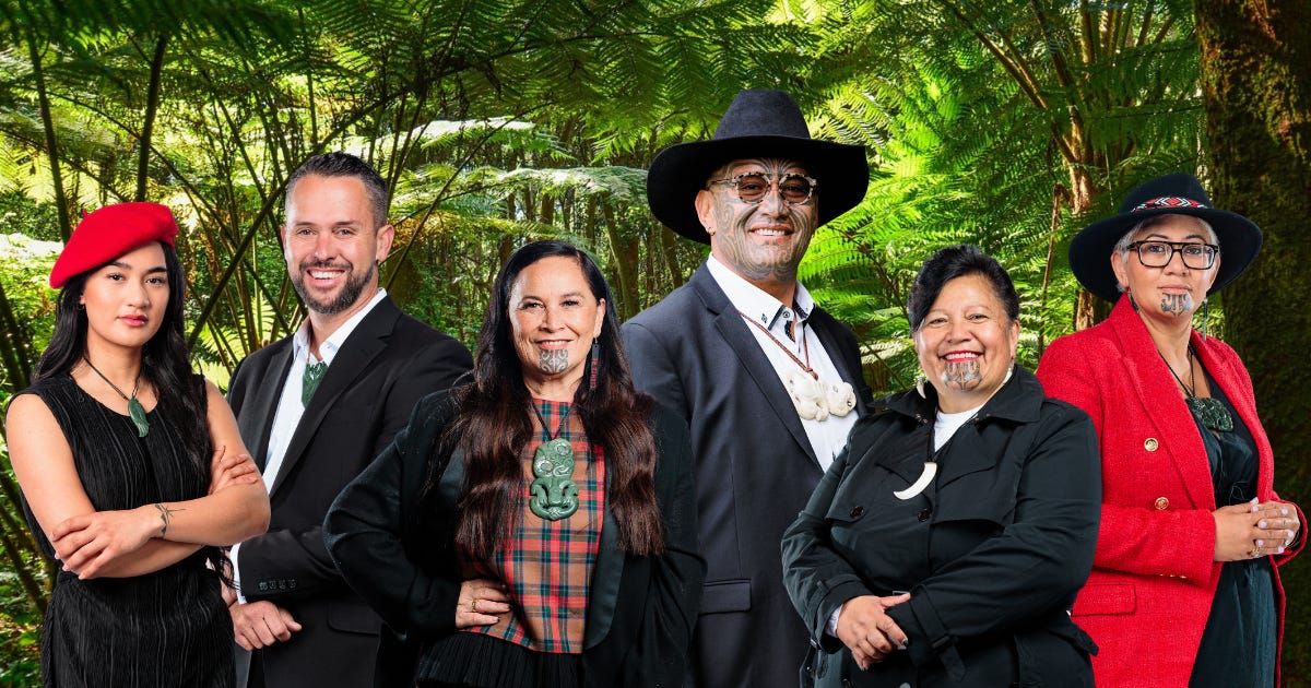 Did Te Pāti Māori rig the party list before the last general election?