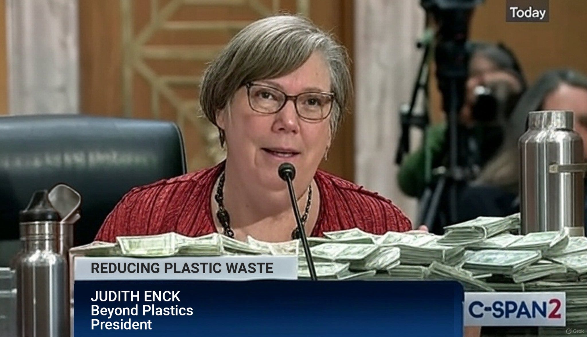 Beyond Plastics: A Phantom NGO - by David Zaruk