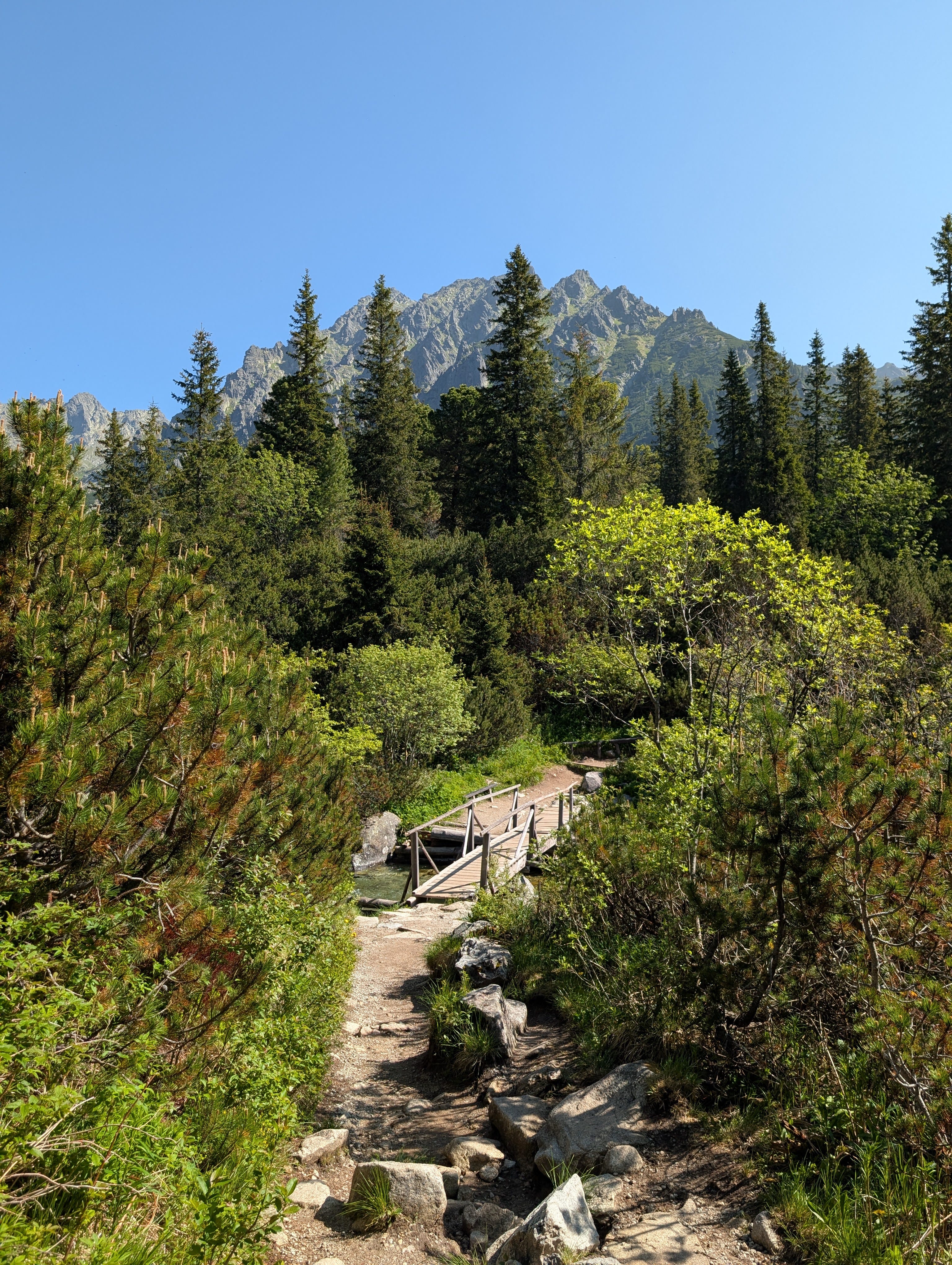 Rysy Summit Hike (2,501 m) from Štrbské Pleso in High Tatras