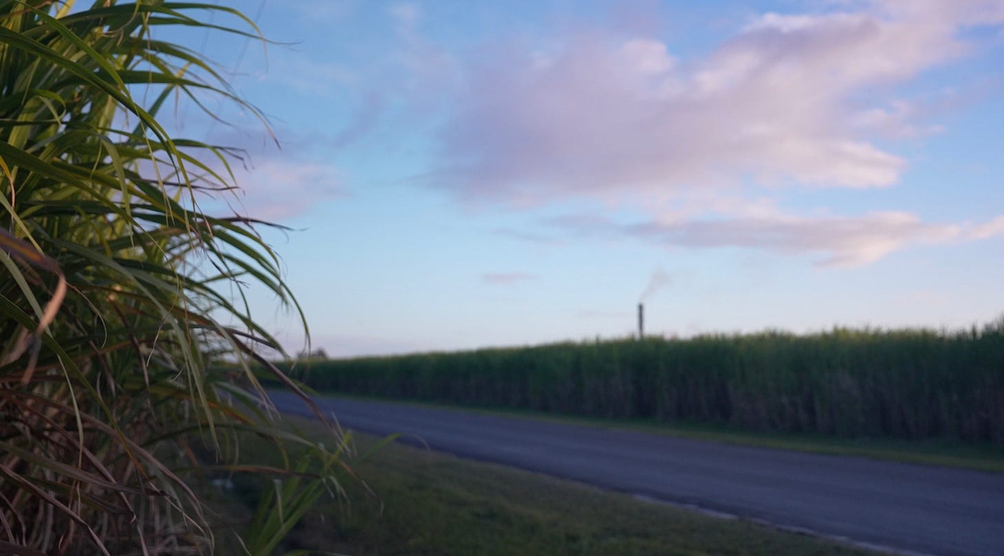 Ghosts of the Cane Fields: The Hidden History of Blackbirding in Australia